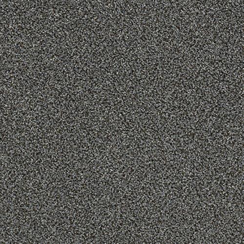 Shaw Builder Flooring Carpet | Floor Roma