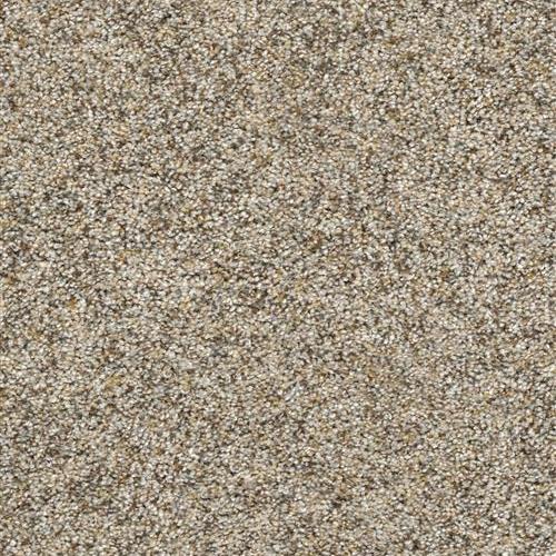 Milestone II Finishing College by Sfi - Pompano, FL - Southland Floors