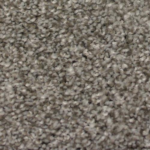 Nimble Stainless (T) by Genstock - the Greater Philadelphia area ...